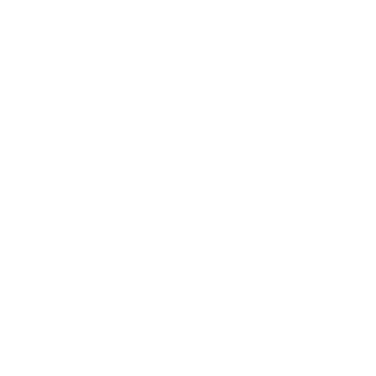 365 day Prepaid Mobile Plans with Bonus Data | Lebara Australia